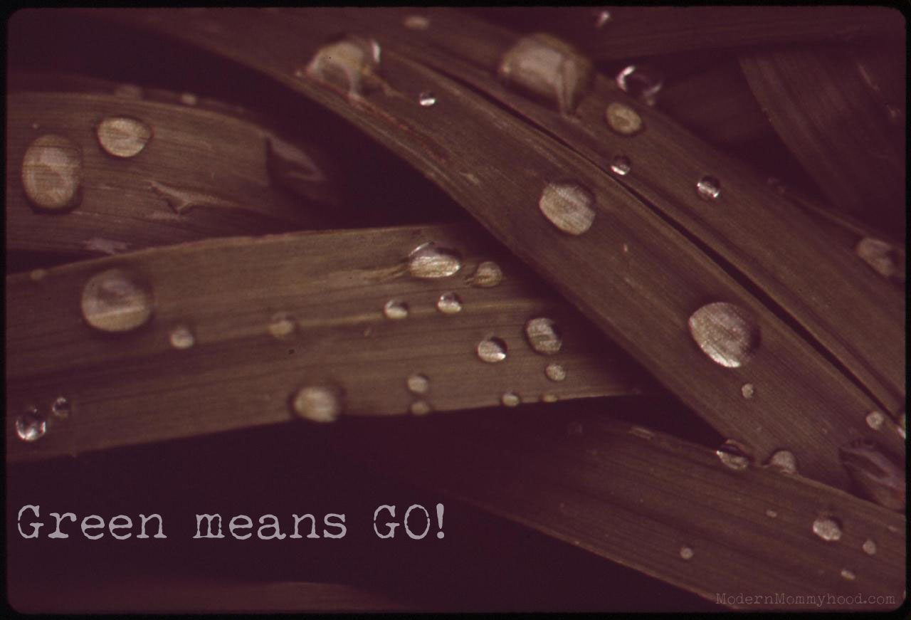 Green Means Go! - Modernly Morgan