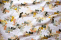 Homespun Quilt - PDF Pattern - Modernly Morgan