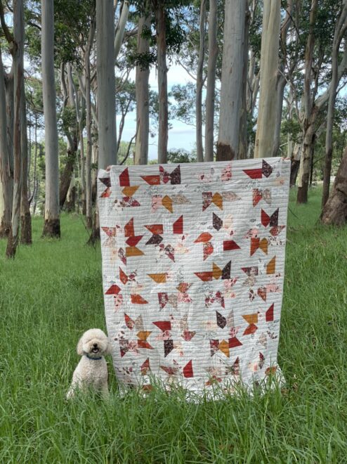 Cosmic Crush Quilt Pattern - Modernly Morgan